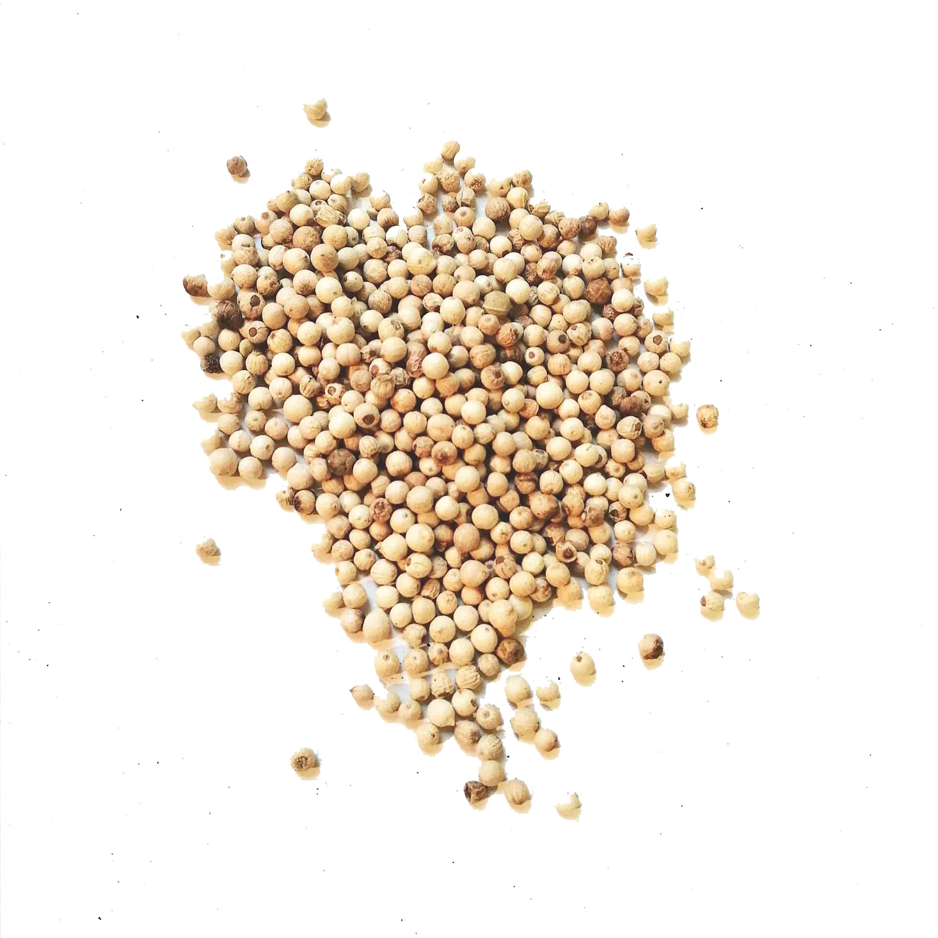 Poivre Blanc en grain Bio – mokamalo